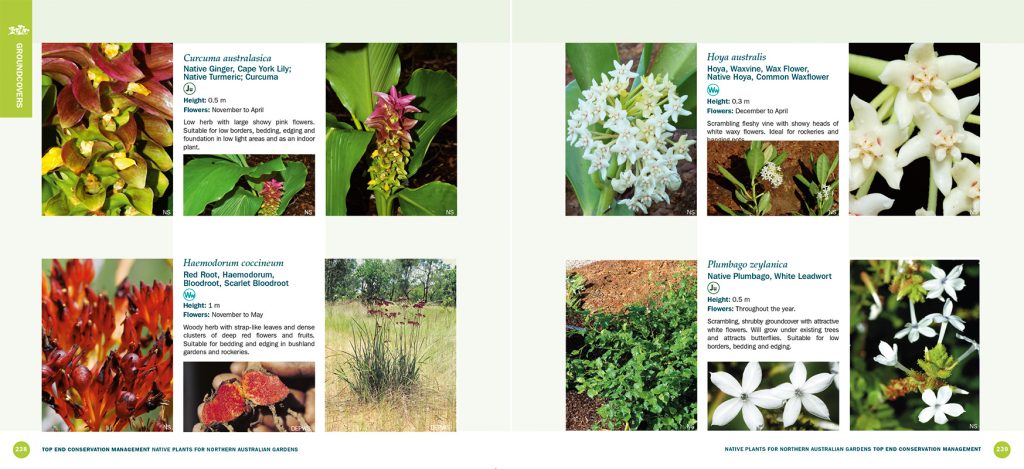 Native Plants for Northern Australian Gardens - Nokomis
