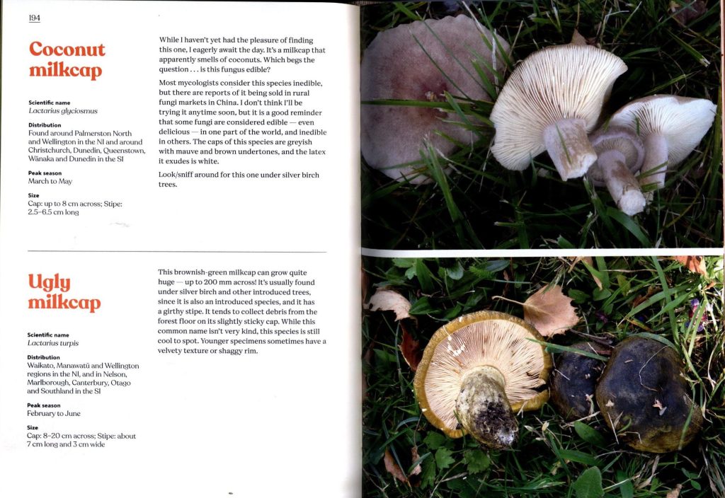 Fungi of Aotearoa: A Curious Forager's Field Guide - Nokomis