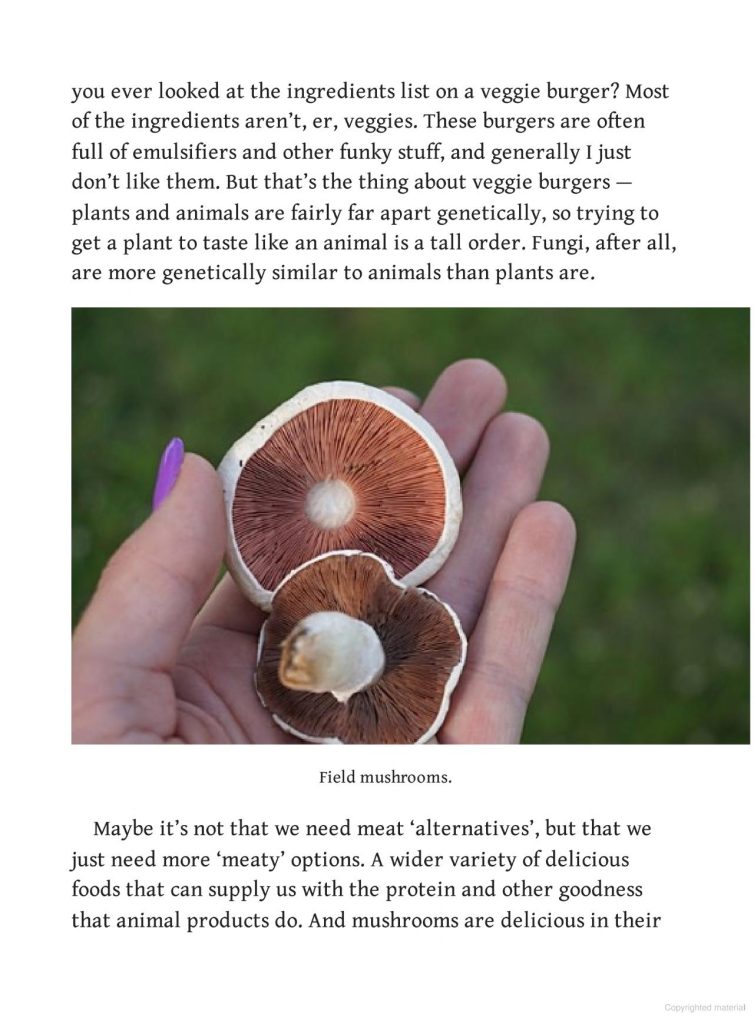 Fungi of Aotearoa: A Curious Forager's Field Guide - Nokomis