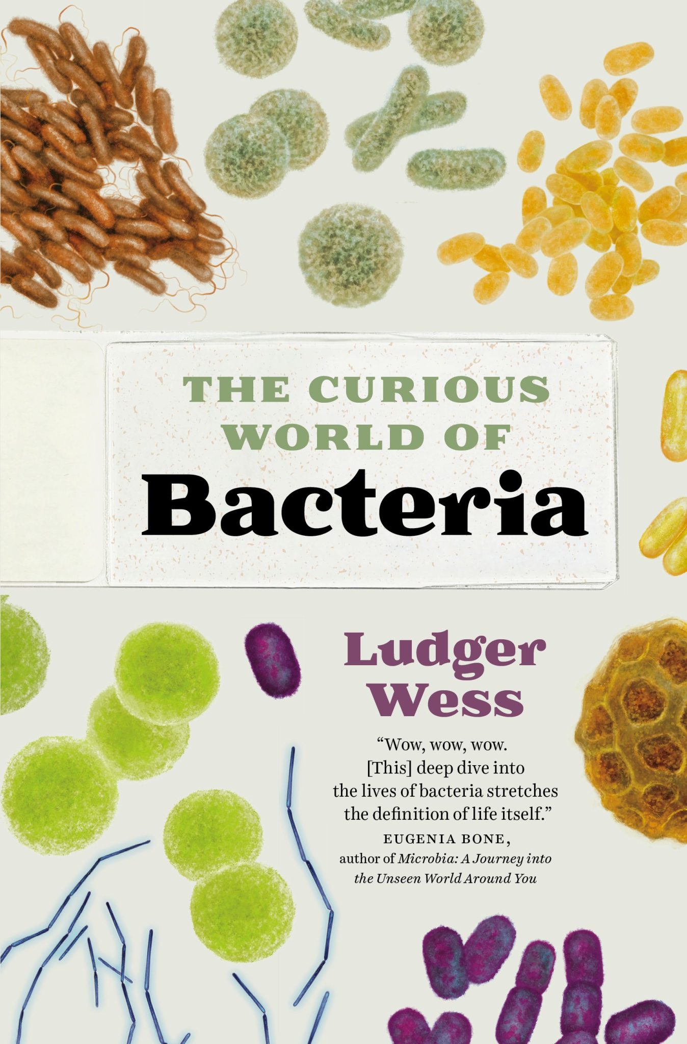 The Curious World of Bacteria - Nokomis