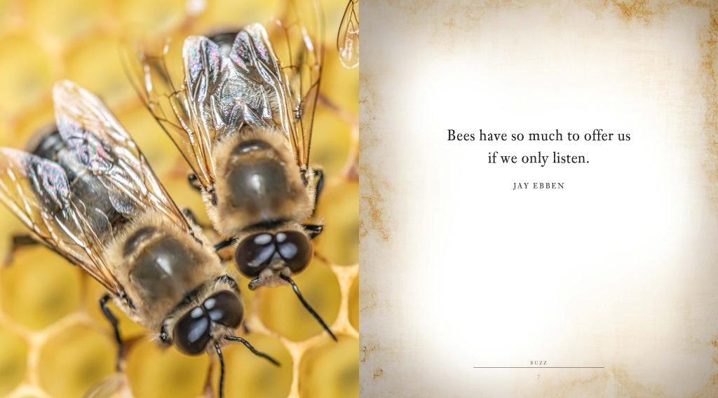 Buzz: A Book of Happiness for Bee Lovers - Nokomis