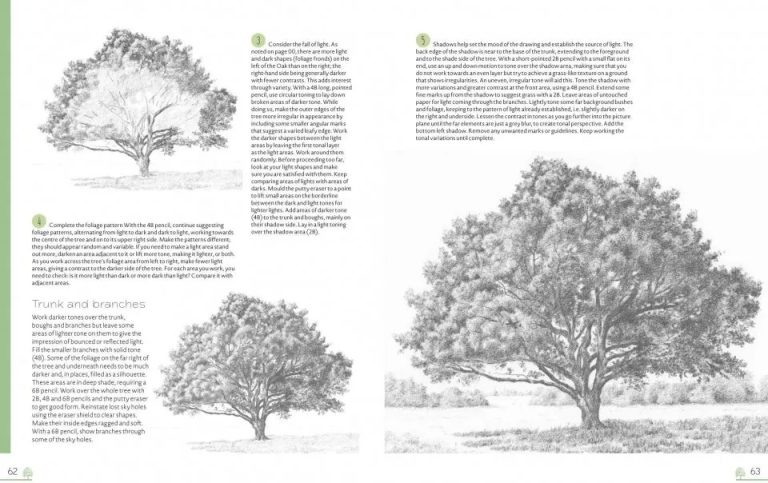 Drawing Trees & Flowers - Nokomis