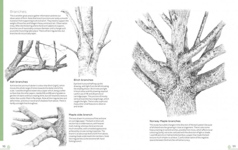 Drawing Trees & Flowers - Nokomis
