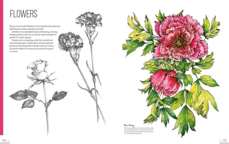 Drawing Trees & Flowers - Nokomis