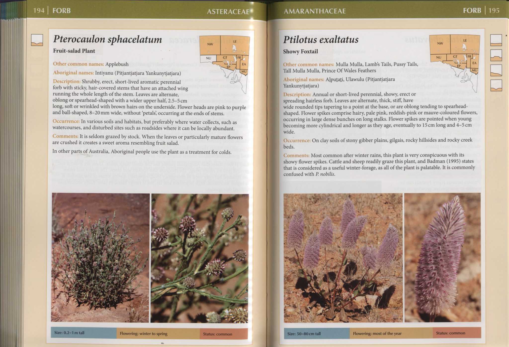 Field Guide to the Plants of Outback South Australia (Second Edition ...