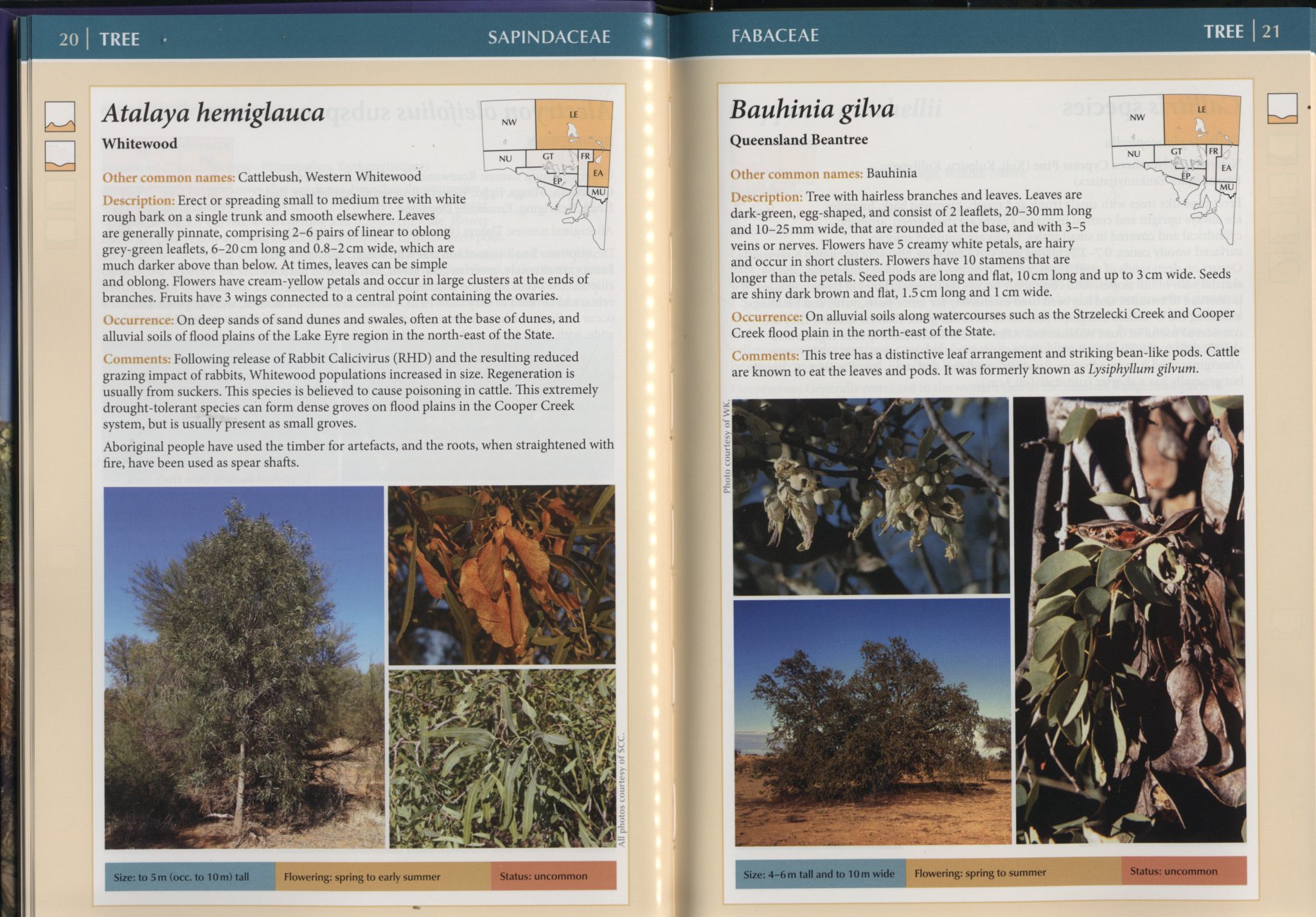 Field Guide to the Plants of Outback South Australia (Second Edition ...