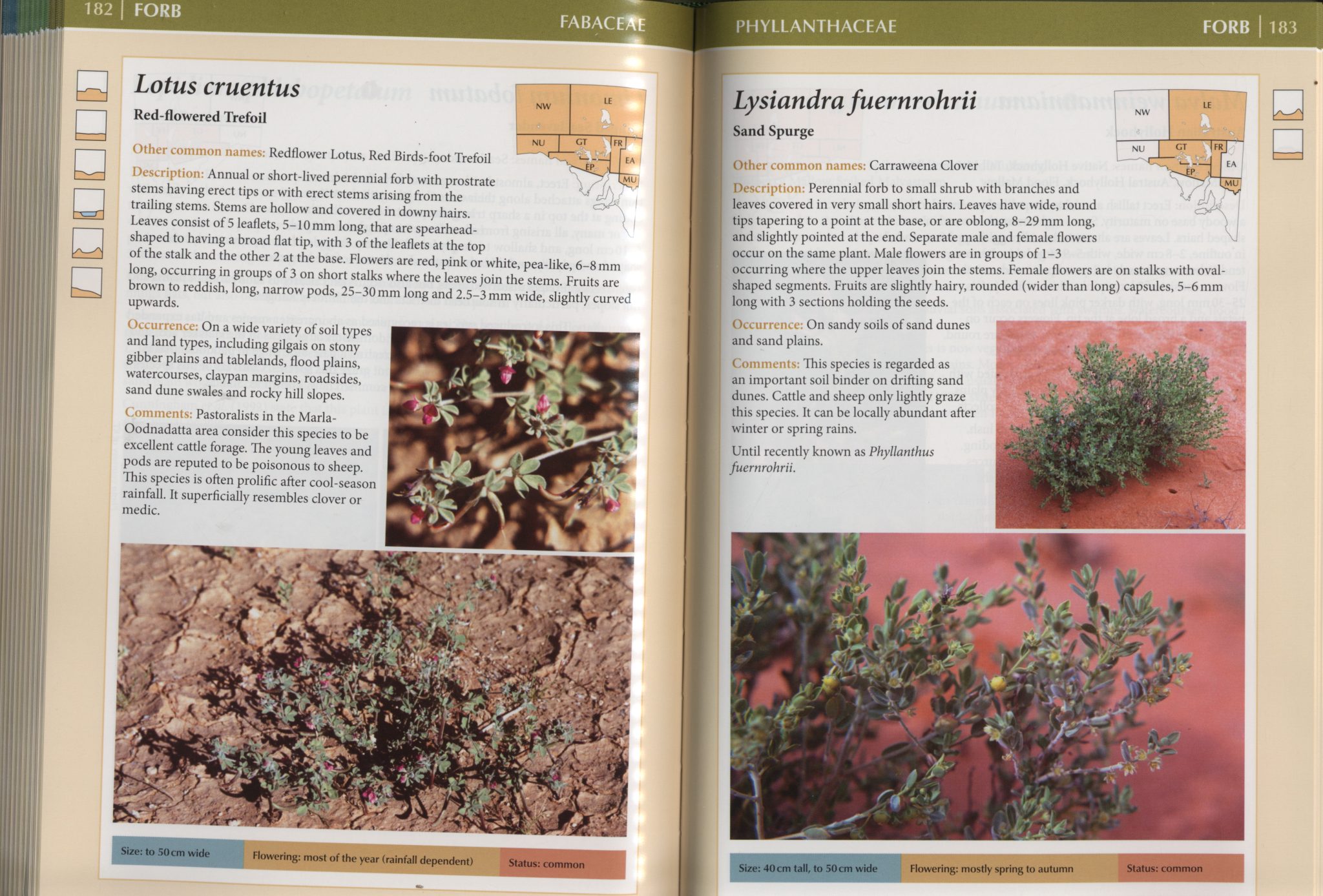 Field Guide to the Plants of Outback South Australia (Second Edition ...