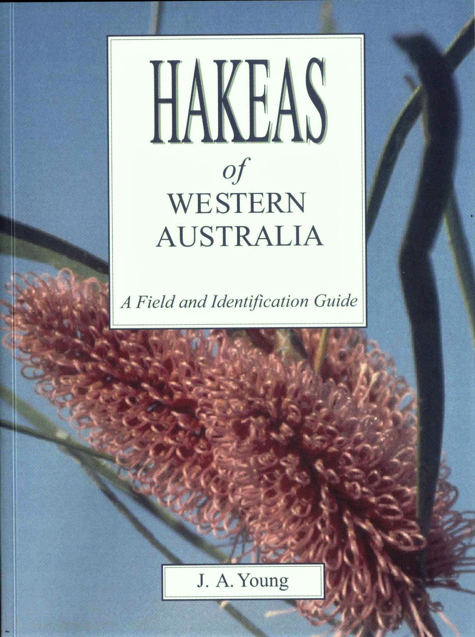 Hakeas of Western Australia: A Field and Identification Guide - Nokomis