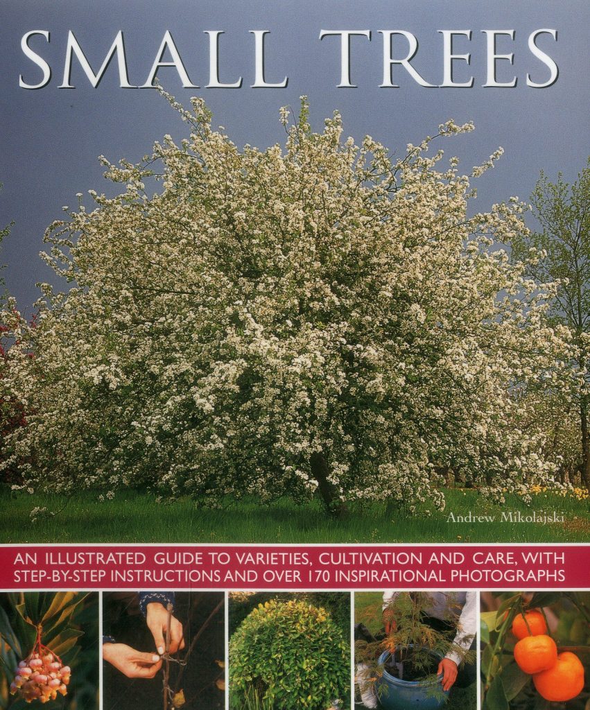 Small Trees: An Illustrated Guide to Varieties, Cultivation and Care ...