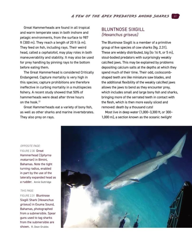 Tooth and Claw: Top Predators of the World - Nokomis