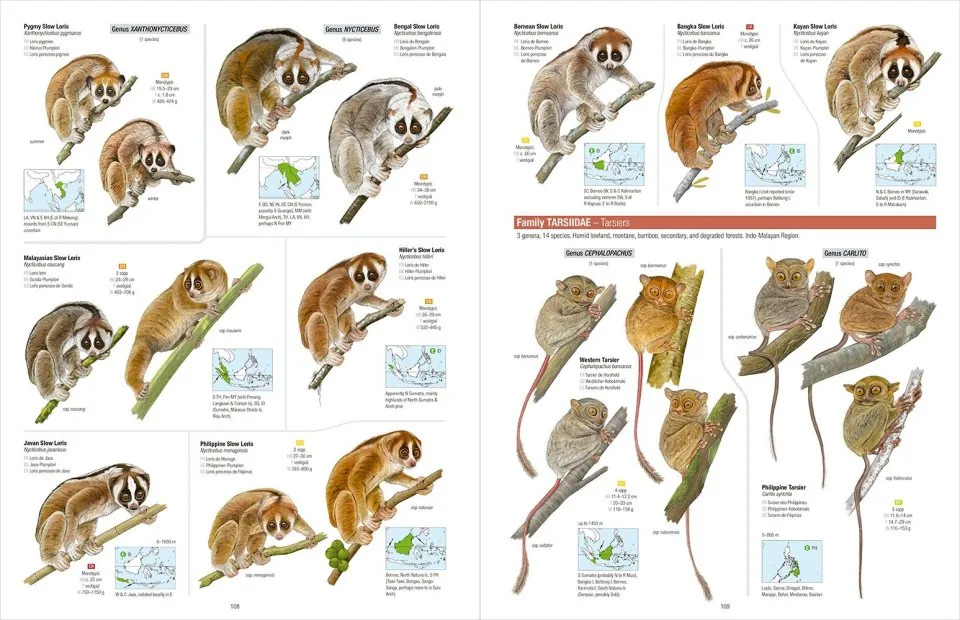 All the Mammals of the World - Nokomis