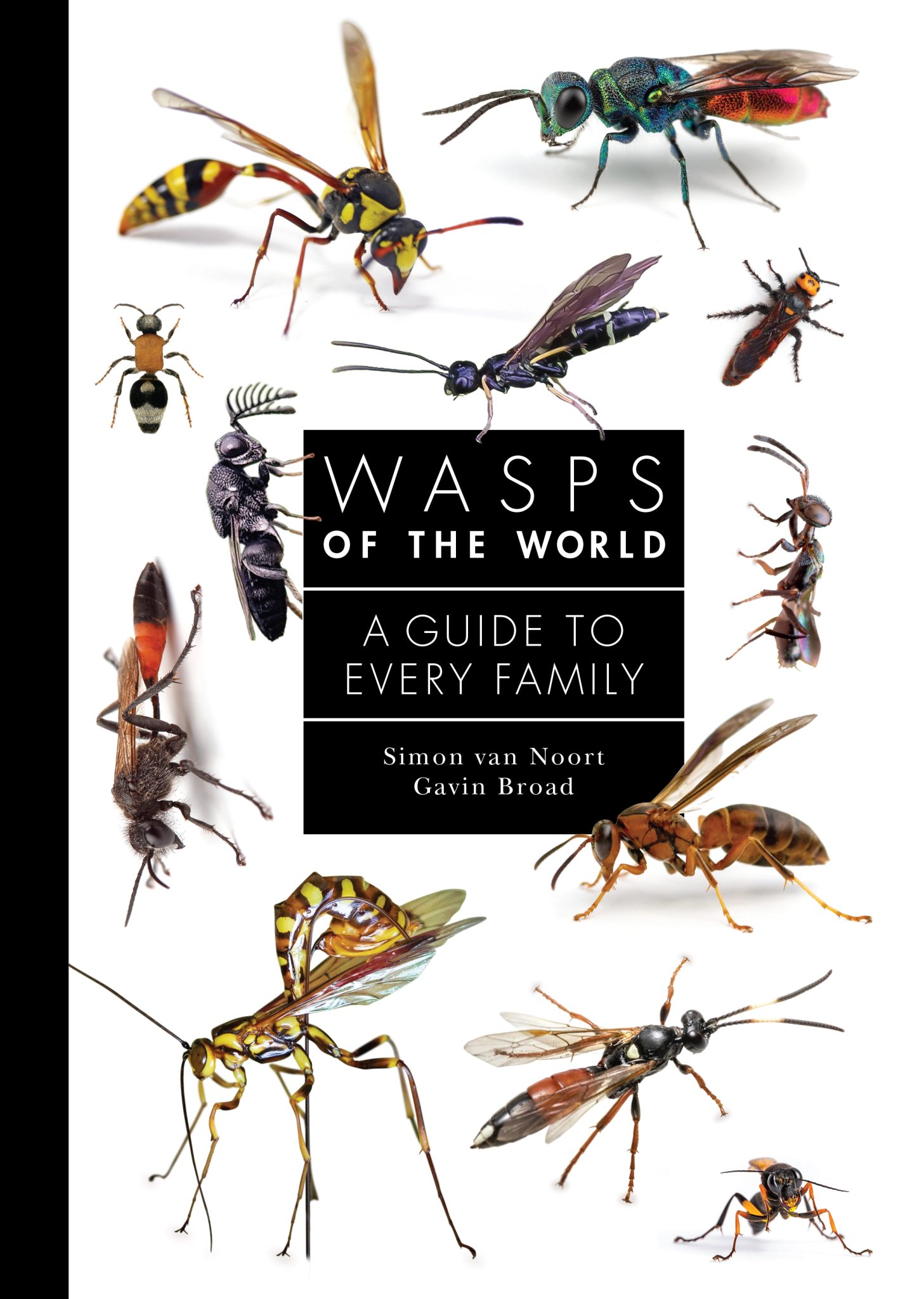 Wasps of the World: A Guide to Every Family - Nokomis
