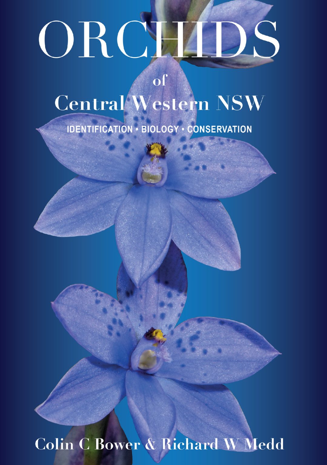 Orchids of Central Western NSW: Identification, Biology, Conservation ...