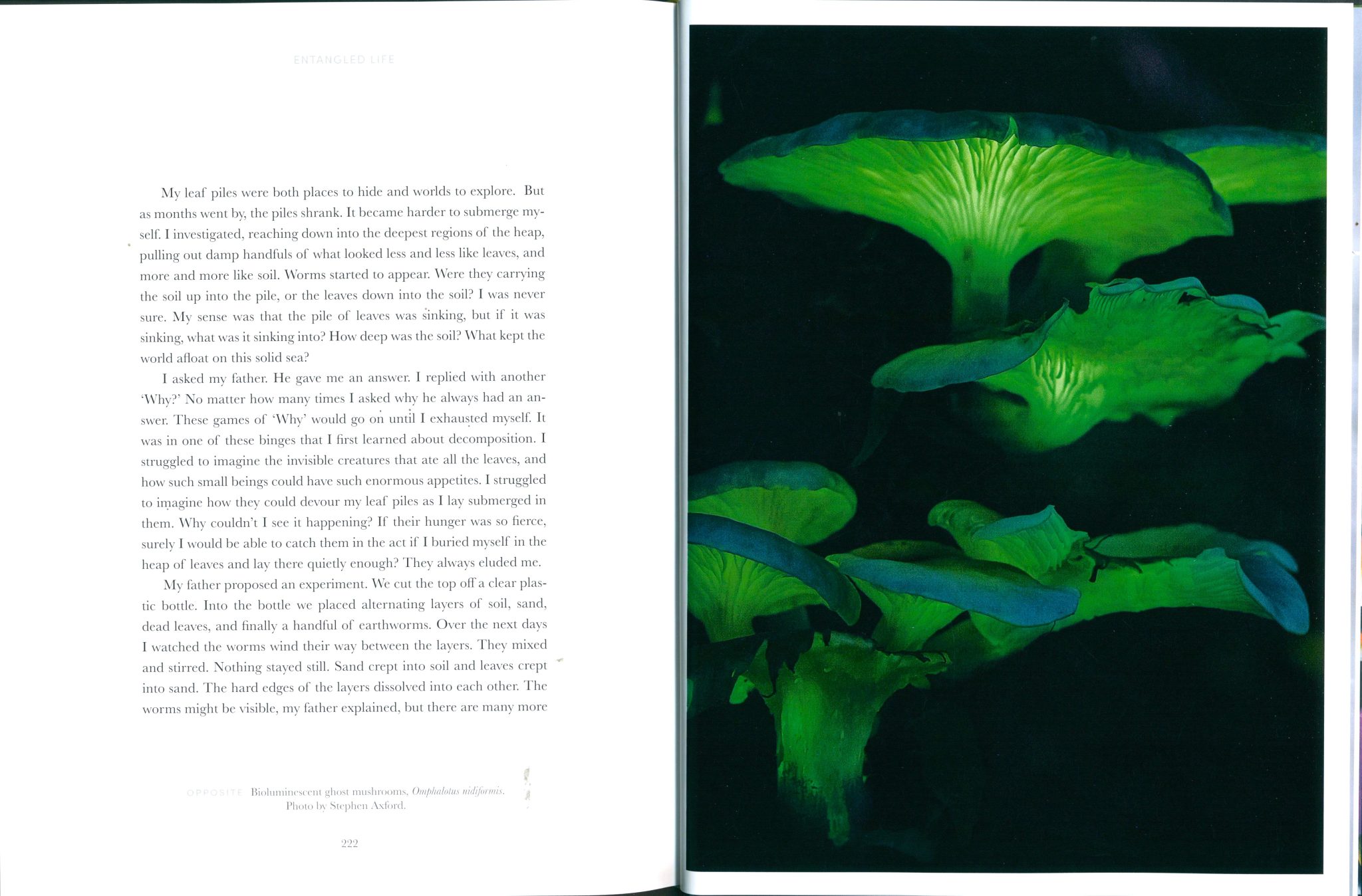 Entangled Life: How Fungi Make Our Worlds (The Illustrated Edition ...