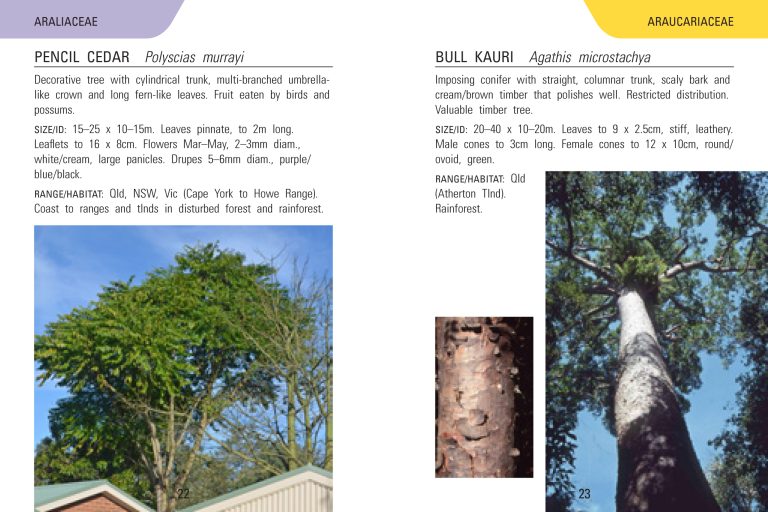 Reed Concise Guide: Trees of Australia - Nokomis