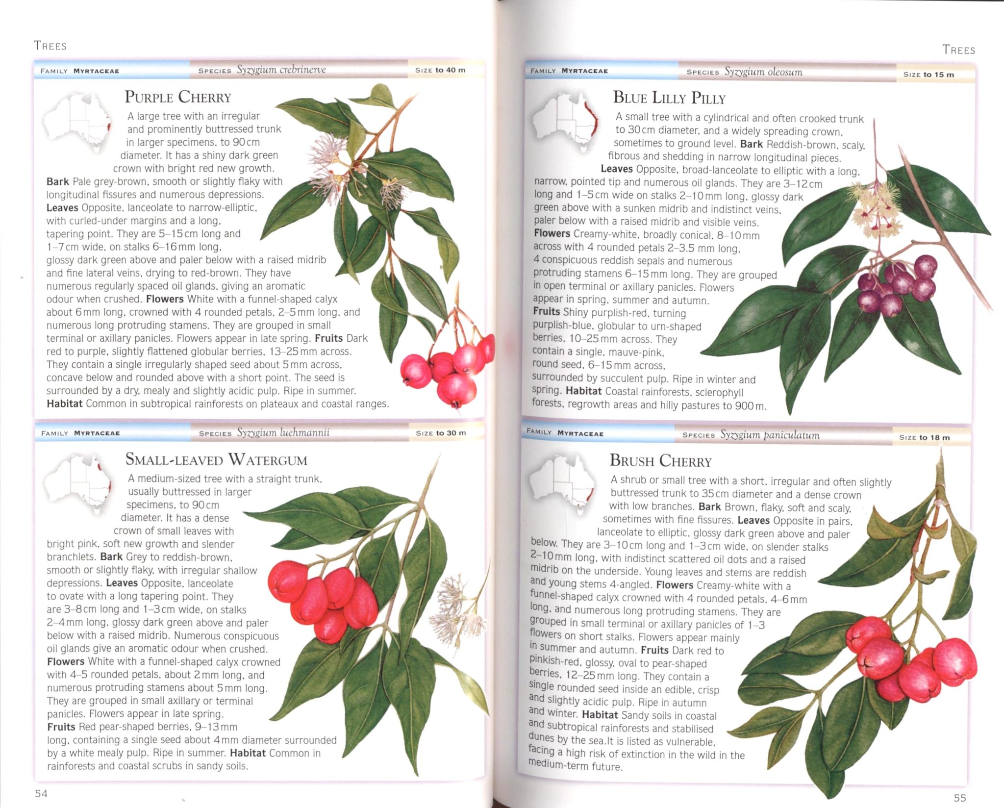 Cronin's Key Guide to Australian Rainforest Plants (Fully Revised and ...