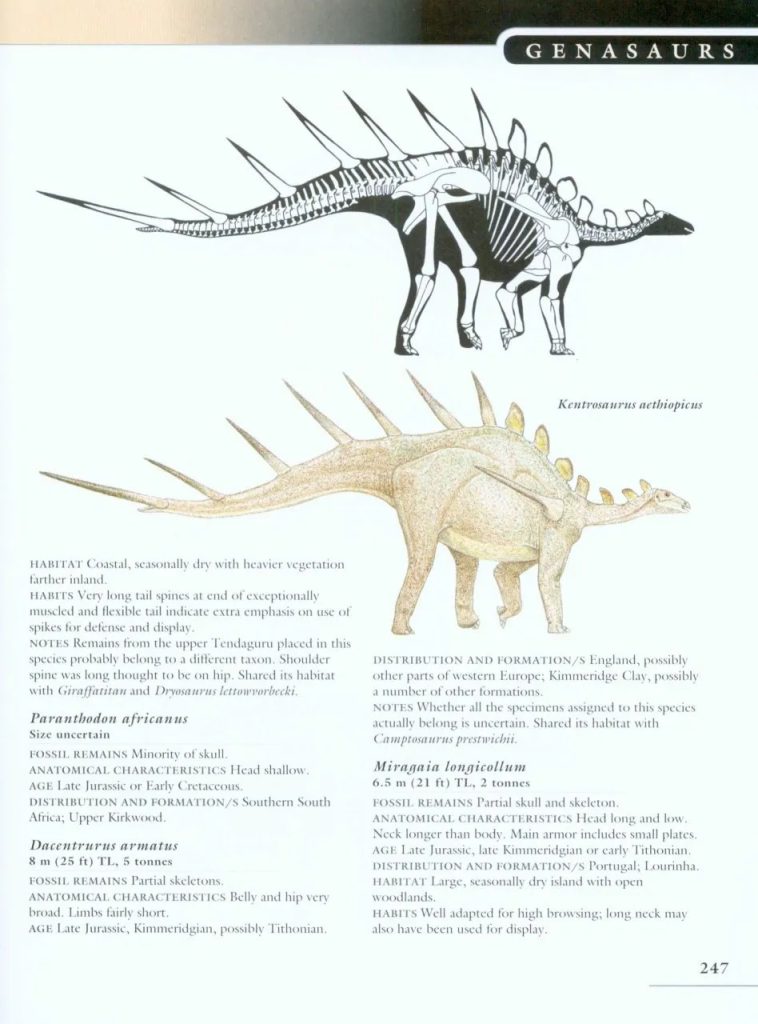 The Princeton Field Guide to Dinosaurs - Nokomis