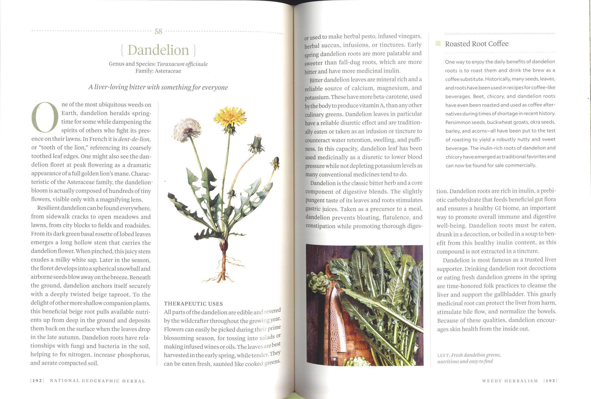 National Geographic Herbal: 100 Herbs From the World's Healing ...