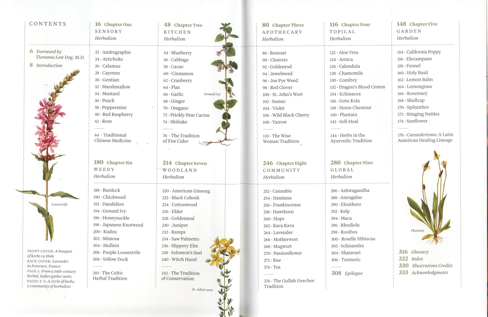 National Geographic Herbal: 100 Herbs From the World's Healing ...