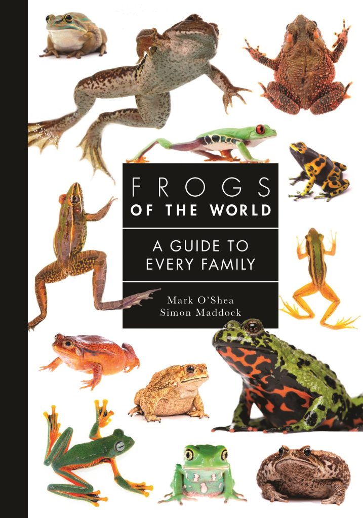Frogs of the World: A Guide to Every Family - Nokomis