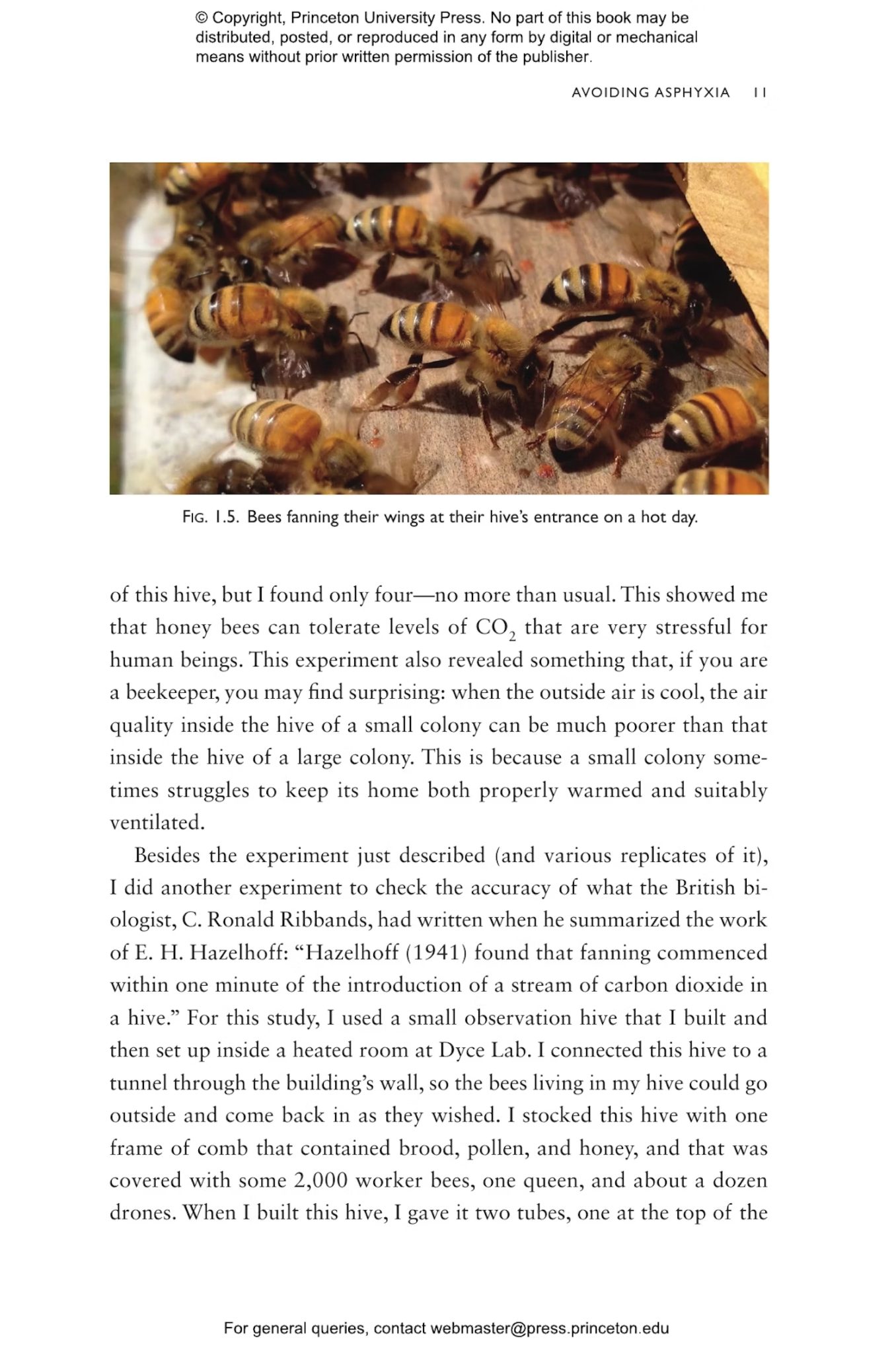 Piping Hot Bees and Boisterous Buzz-Runners: 20 Mysteries of Honey Bee ...