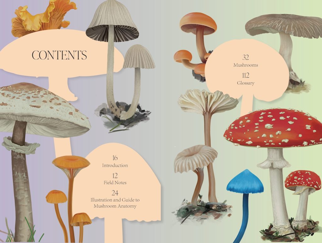 Mushroom Magic: An Illustrated Introduction to Fascinating Fungi - Nokomis