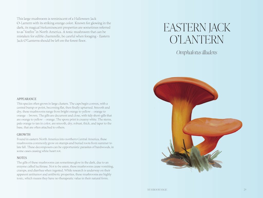 Mushroom Magic: An Illustrated Introduction to Fascinating Fungi - Nokomis