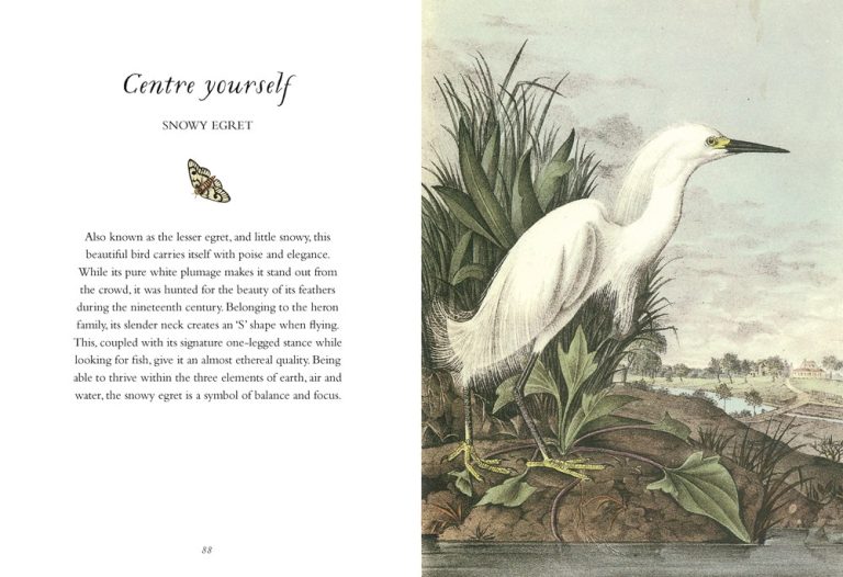 The Wisdom of Birds: Essential Life Lessons for Positivity and Grace ...