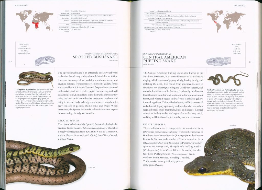 The Book of Snakes: A Life-Size Guide to Six Hundred Species from Around the World (Second ...