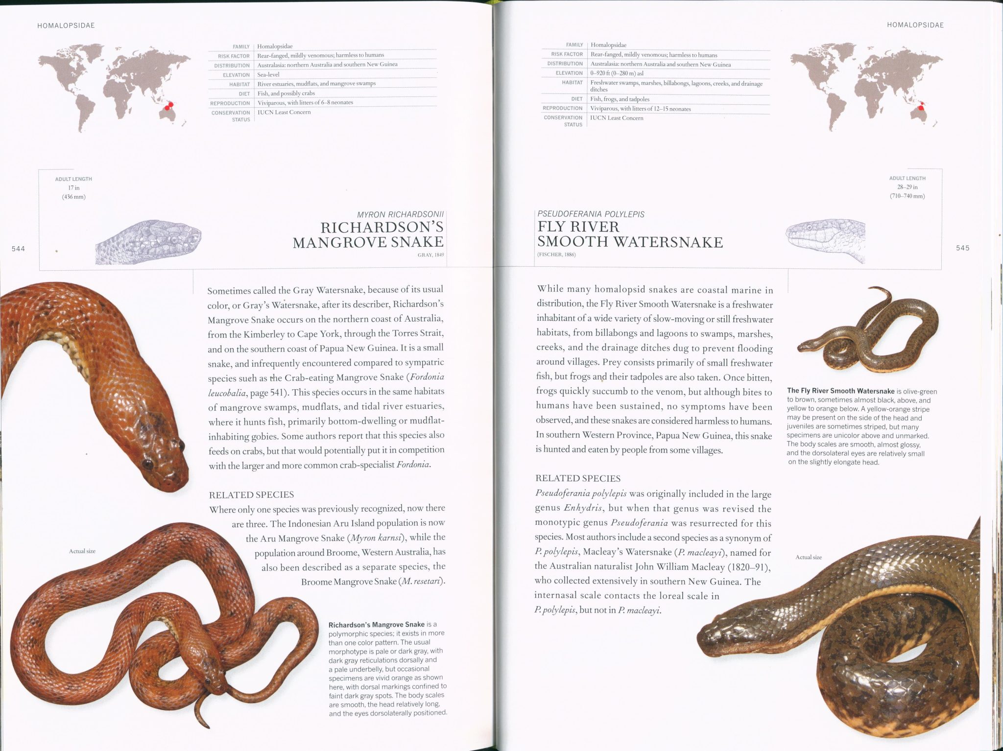 The Book of Snakes: A Life-Size Guide to Six Hundred Species from ...
