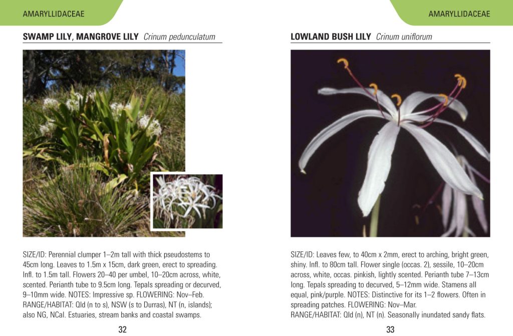 Reed Concise Guide: Lilies Of Australia Including Their Relatives and ...