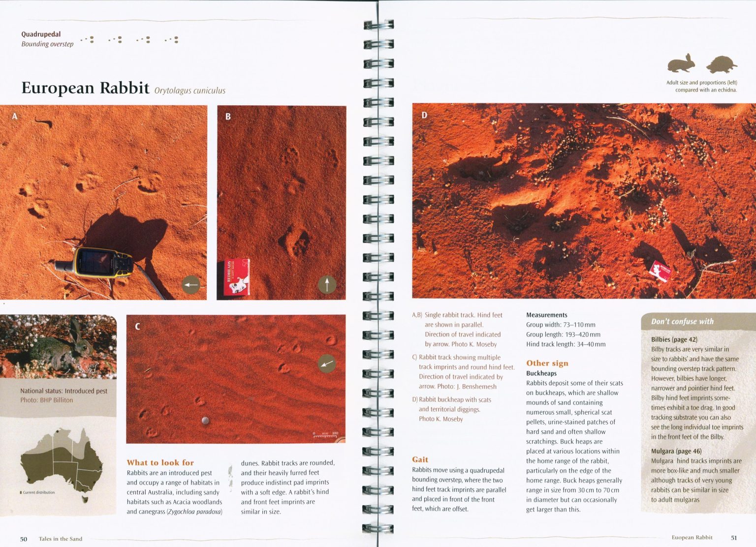 Tales in the Sand: A Guide to Identifying Australian Arid Zone Fauna ...
