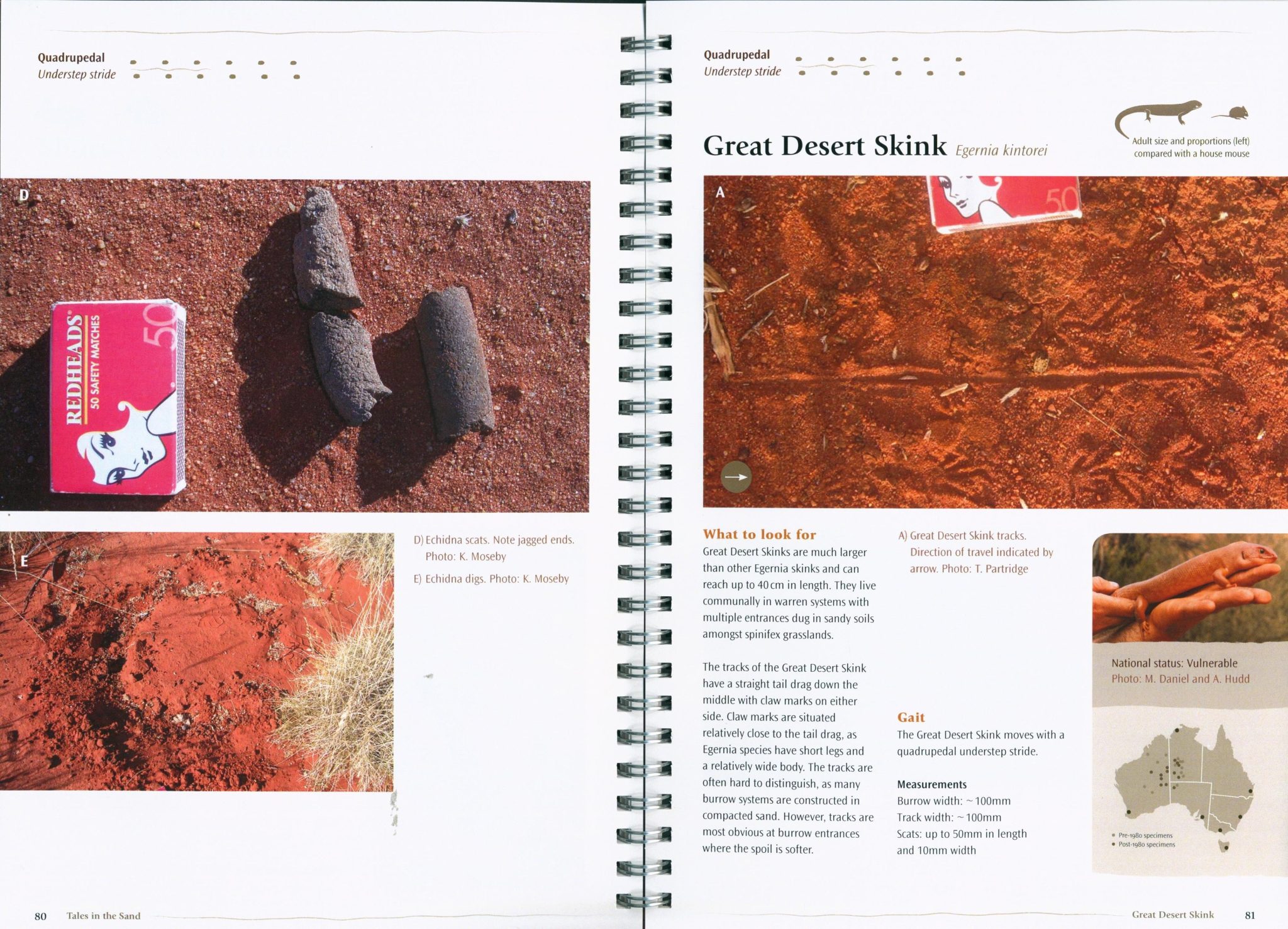 Tales in the Sand: A Guide to Identifying Australian Arid Zone Fauna ...