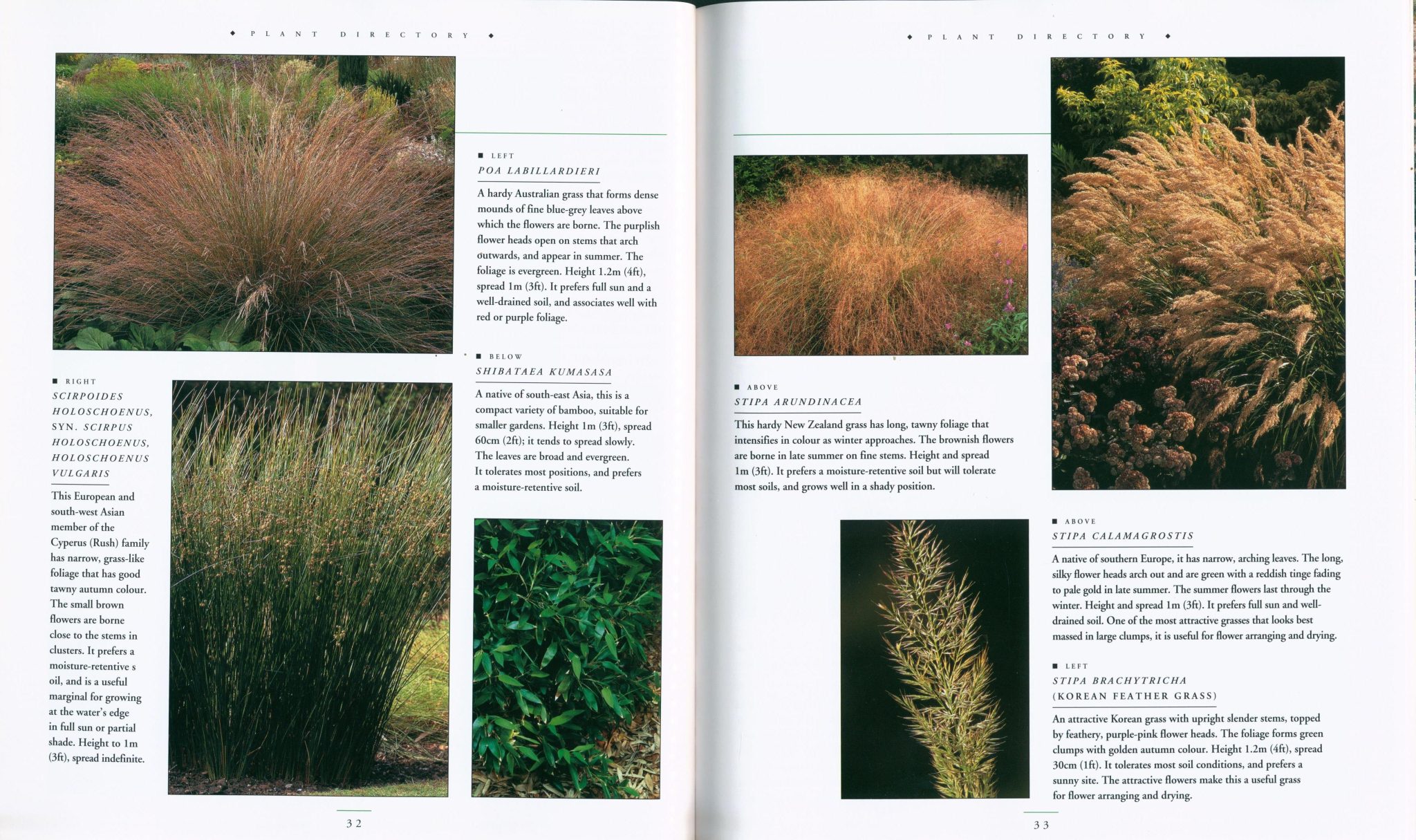 Grasses: An Illustrated Guide To Varieties, Cultivation And Care - Nokomis