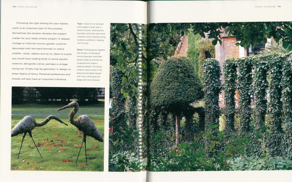 A Gardener's Guide to Topiary: The Art Of Clipping, Training And ...
