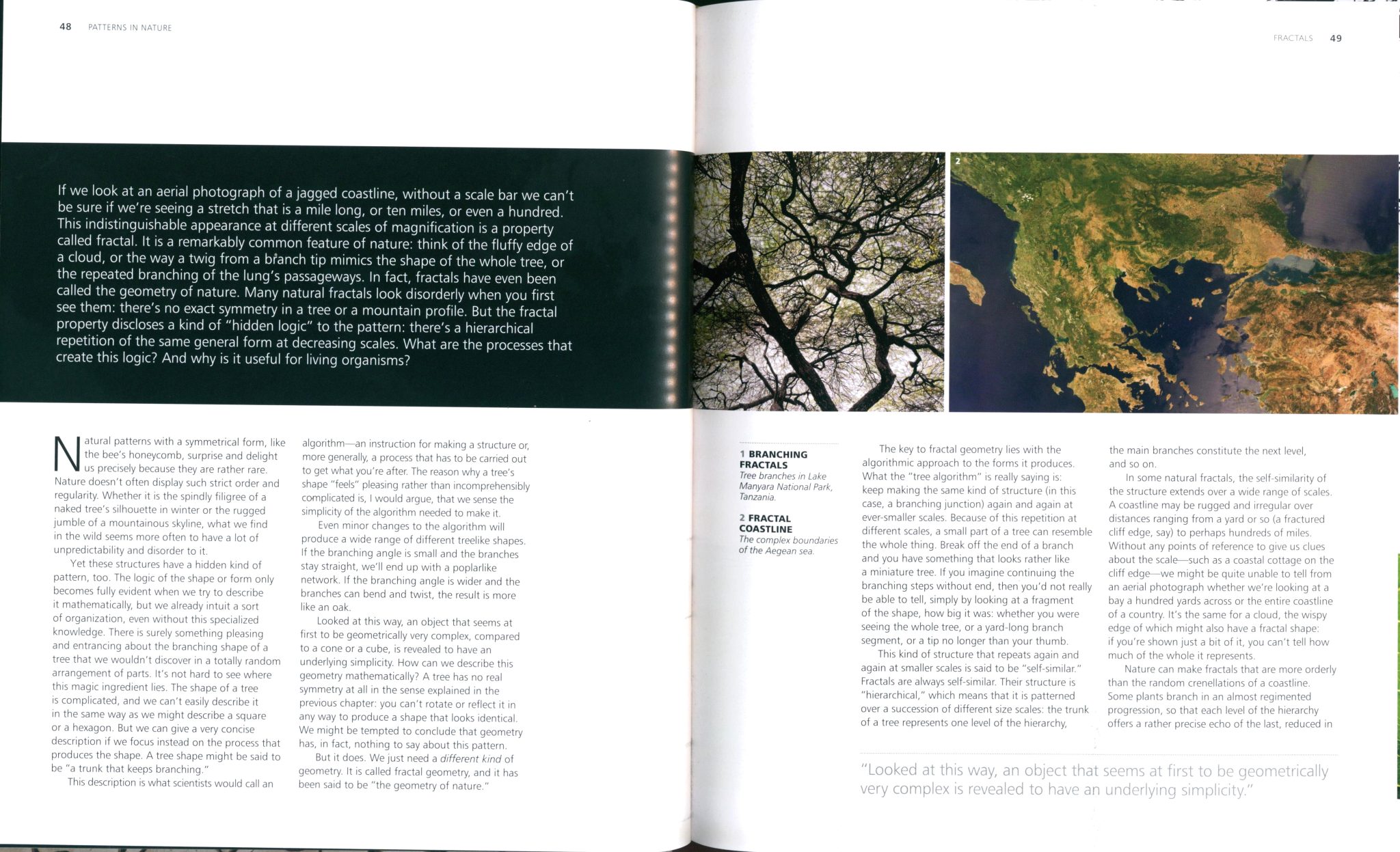 Patterns in Nature: Why the Natural World Looks the Way It Does - Nokomis