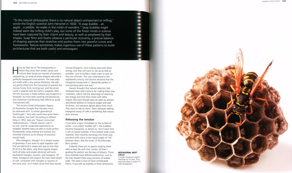 Patterns in Nature: Why the Natural World Looks the Way It Does - Nokomis