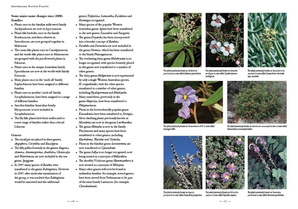 Australian Native Plants: Cultivation, Use in Landscaping and ...