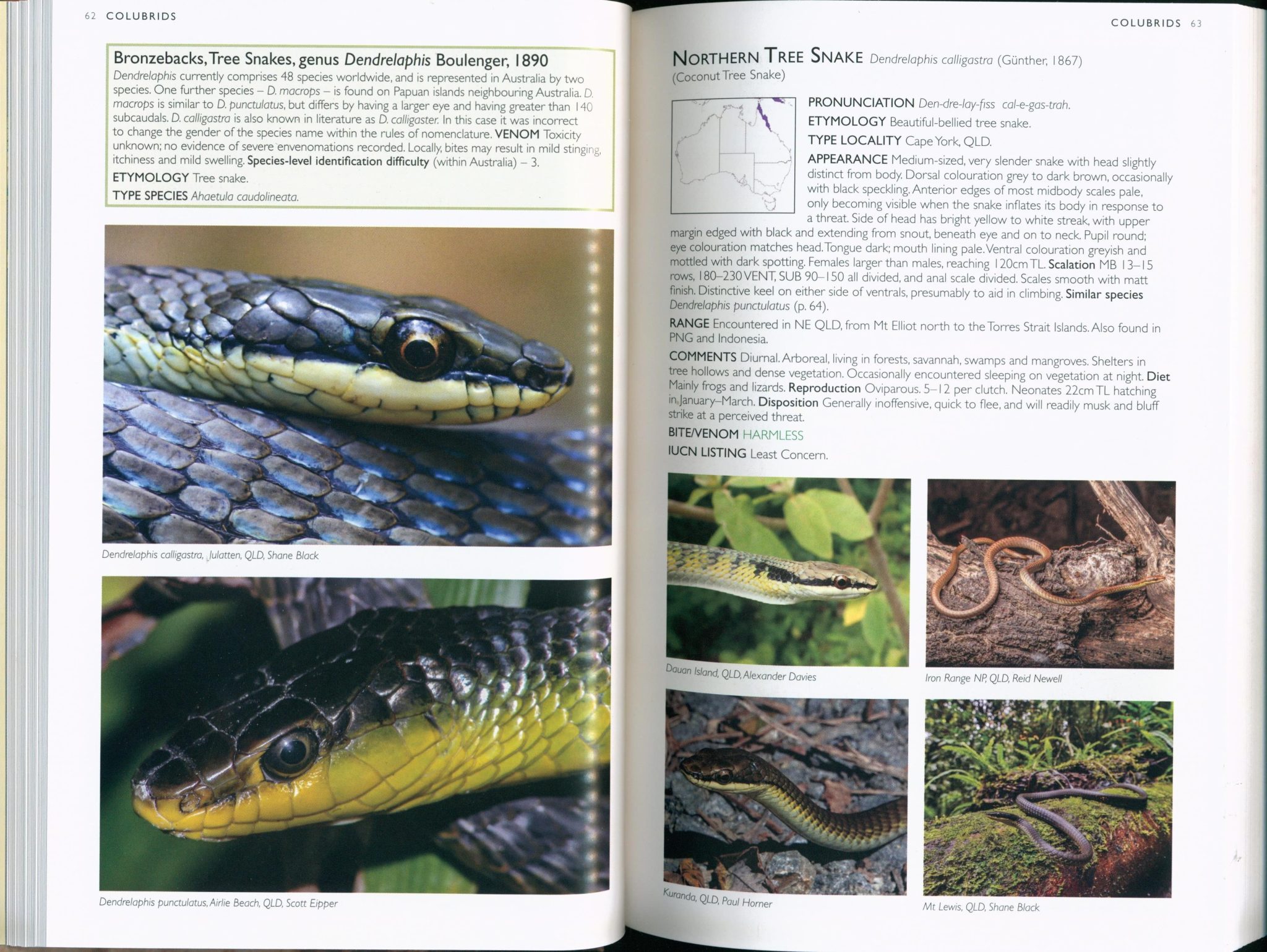 A Field Guide to the Snakes of Australia - Nokomis