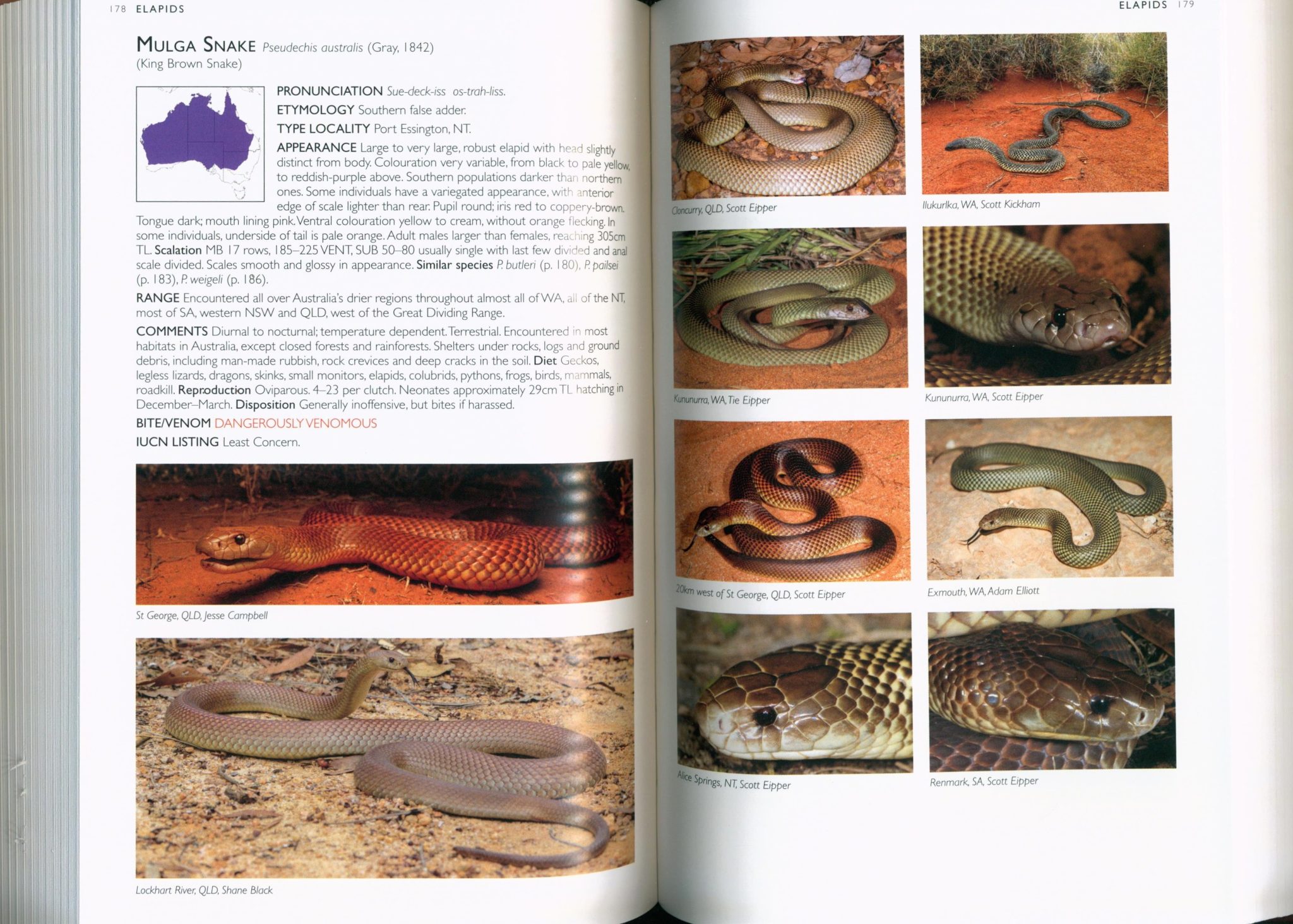 A Field Guide to the Snakes of Australia - Nokomis