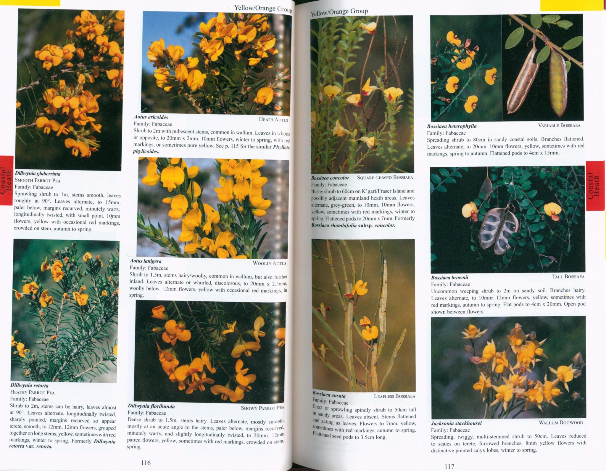 Mangroves to Mountains: A Field Guide to Native Plants of South-East ...