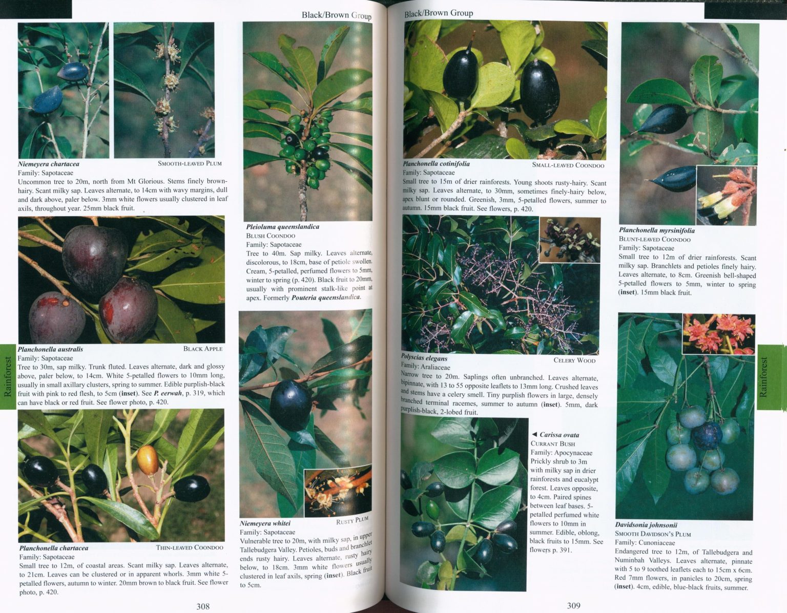 Mangroves to Mountains: A Field Guide to Native Plants of South-East ...