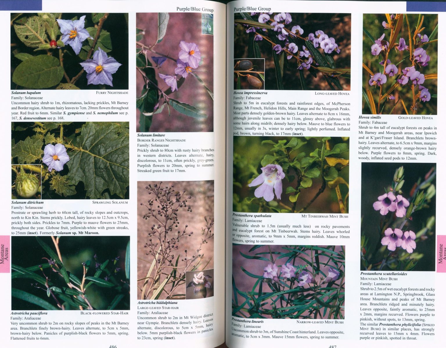 Mangroves to Mountains: A Field Guide to Native Plants of South-East ...