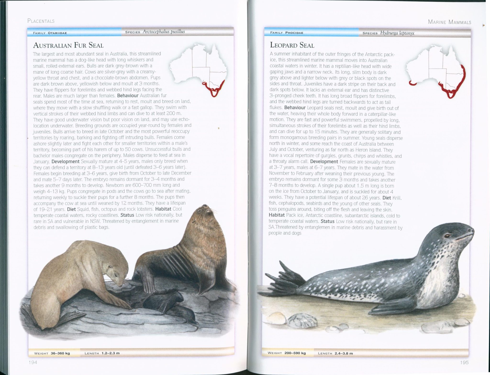 Cronin's Key Guide to Australian Mammals (Second Edition) - Nokomis