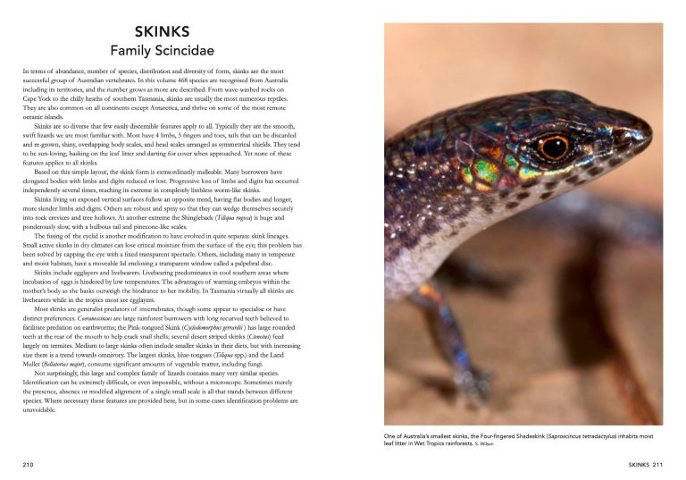A Complete Guide To Reptiles Of Australia (Seventh Edition) - Nokomis