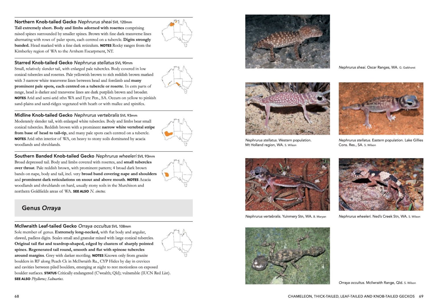 A Complete Guide To Reptiles Of Australia (Seventh Edition) - Nokomis