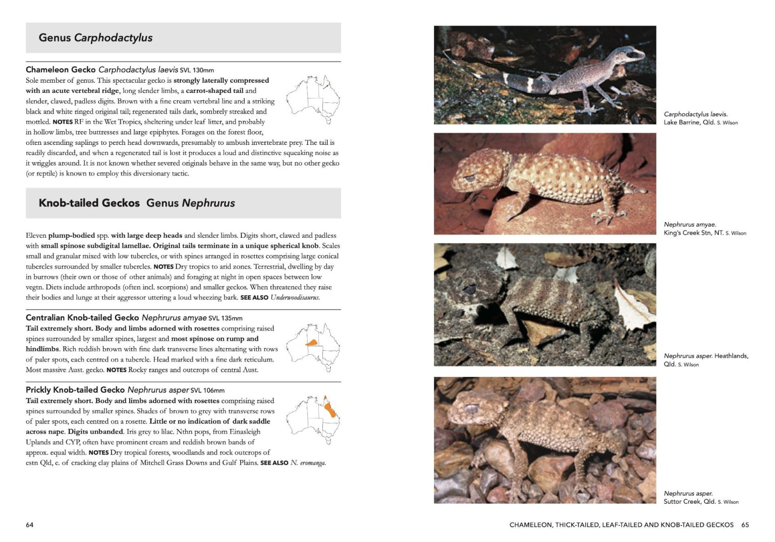 A Complete Guide To Reptiles Of Australia (Seventh Edition) - Nokomis