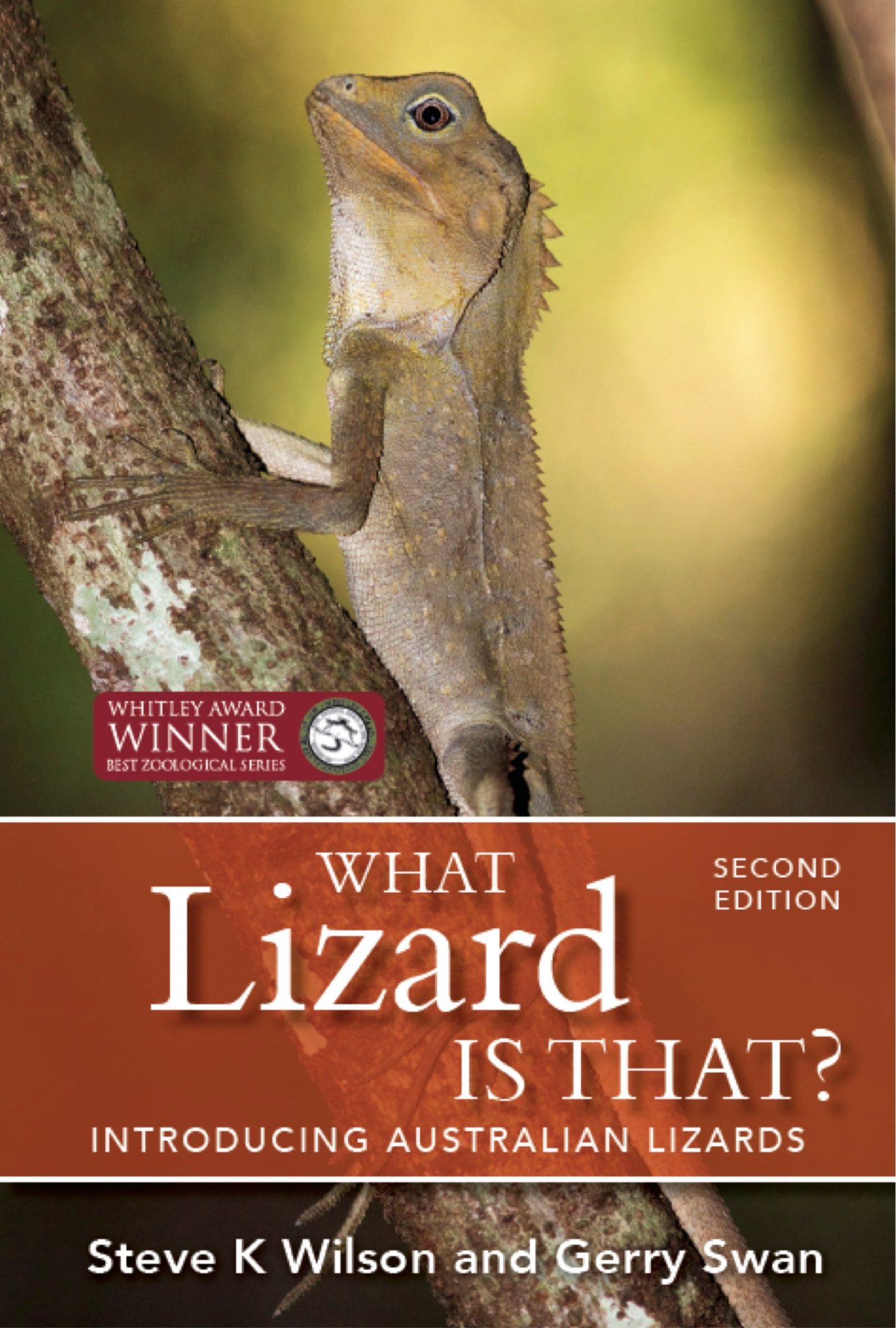 What Lizard is That? Introducing Australian Lizards (Second Edition ...