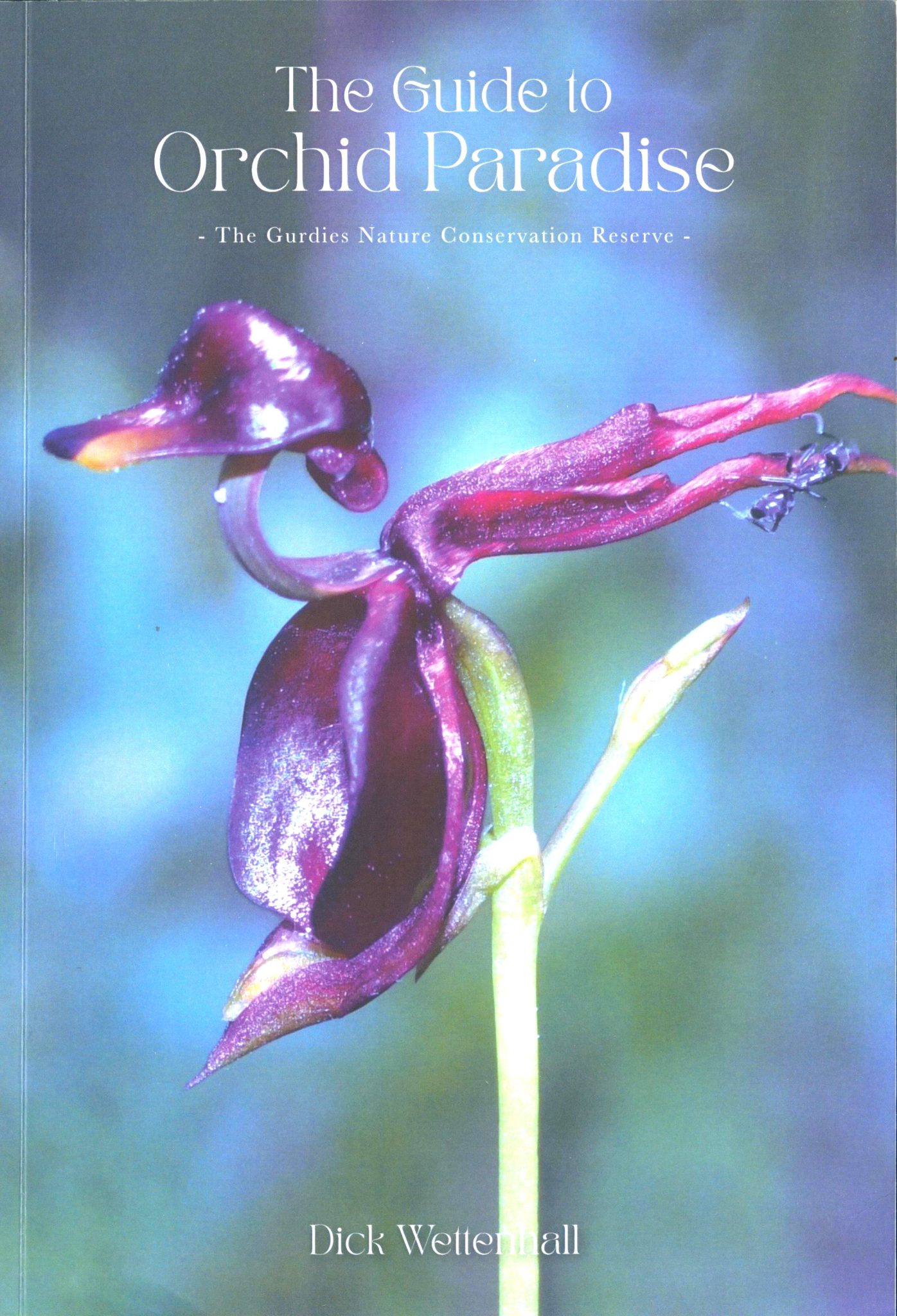 The Guide to Orchid Paradise: The Gurdies Nature Conservation Reserve ...