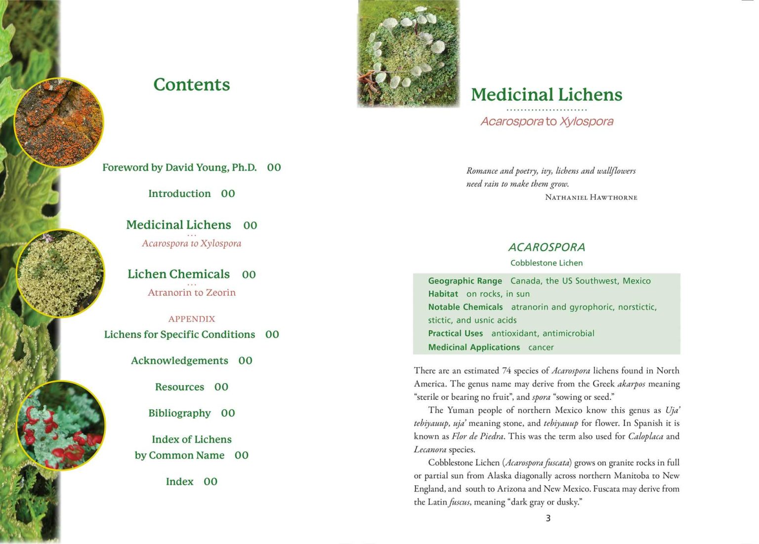 Medicinal Lichens: Indigenous Wisdom and Modern Pharmacology - Nokomis